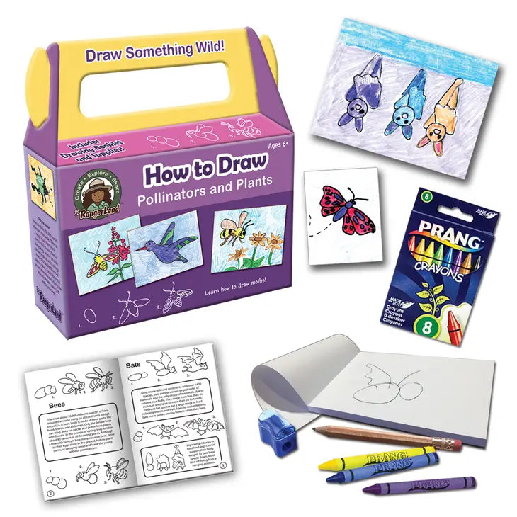 How to Draw Pollinators and Plants Art Kit — Nature Niche