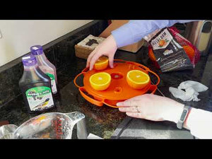 Ultimate Oriole Feeder - Holds Oranges Jelly and Nectar — Nature Niche
