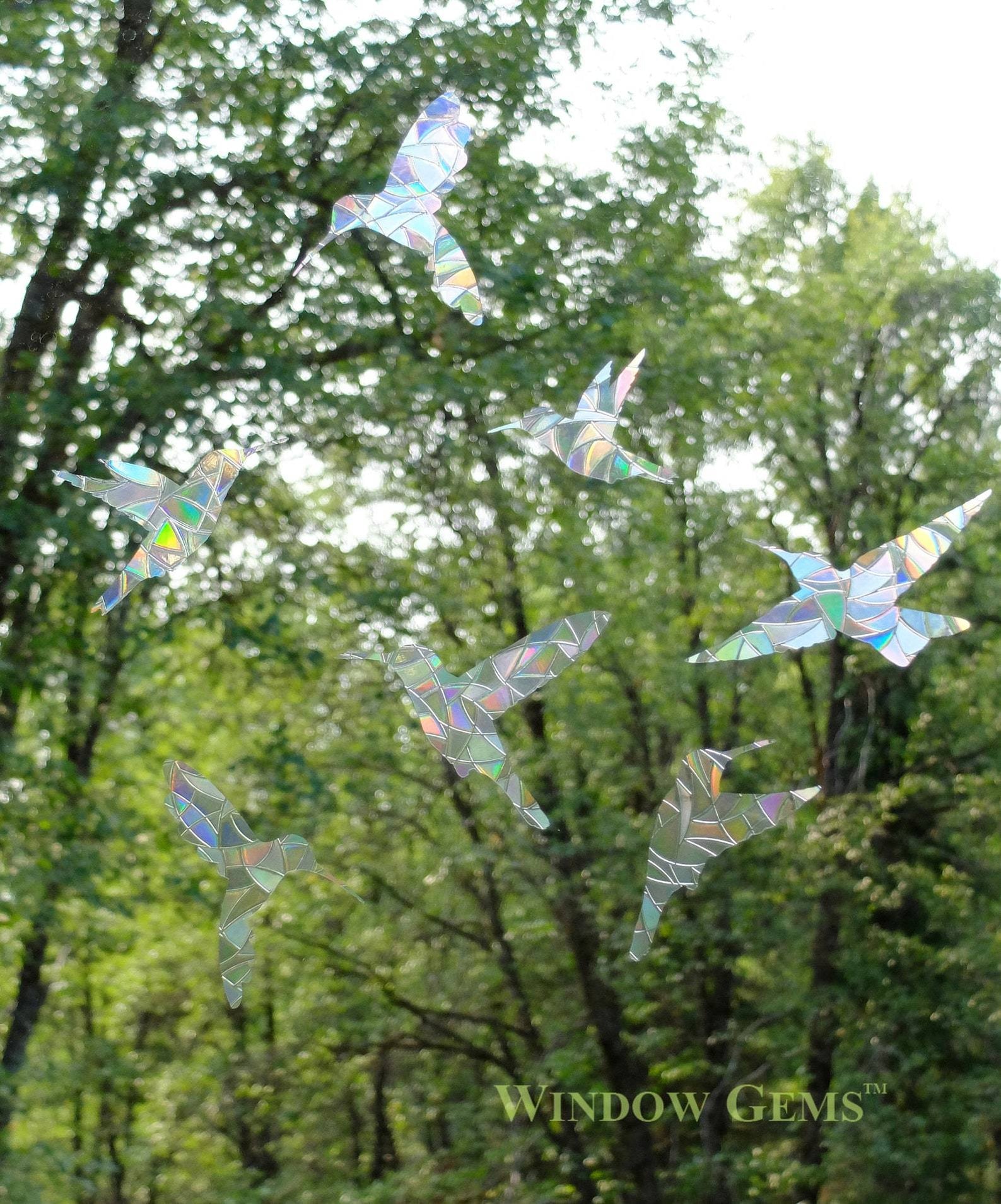 Window Collision Solutions for birds — Nature Niche