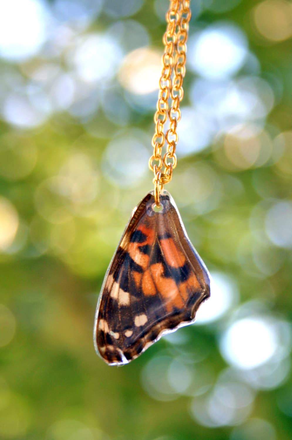 Painted Lady Butterfly Wing — Nature Niche